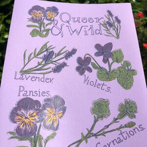 Queer History Through Flowers A5 Sticker Sheet, Paper Stickers, Pansy ...