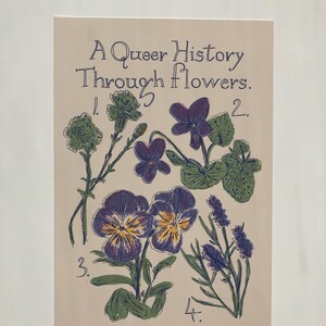 A Queer History Through Flowers Botanical Print A4 Double - Etsy