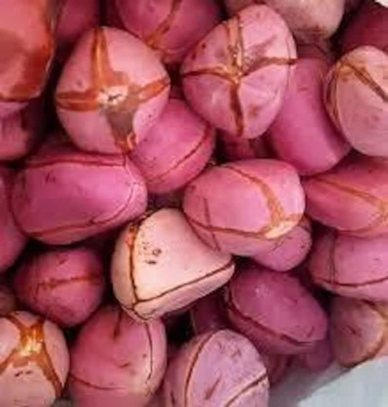 Kolanut | Obi | Fresh Kola Nut | Obi Abata - Etsy