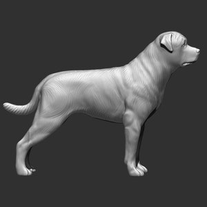 Rottweiler 3D Sculpture for 3D Printing .STL File - Etsy
