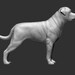 Rottweiler 3D Sculpture for 3D Printing .STL File - Etsy
