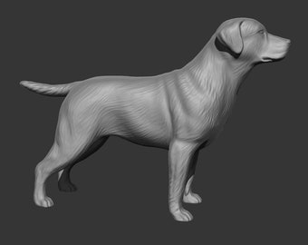 Labrador Dog Stl File for 3D Printing - Etsy