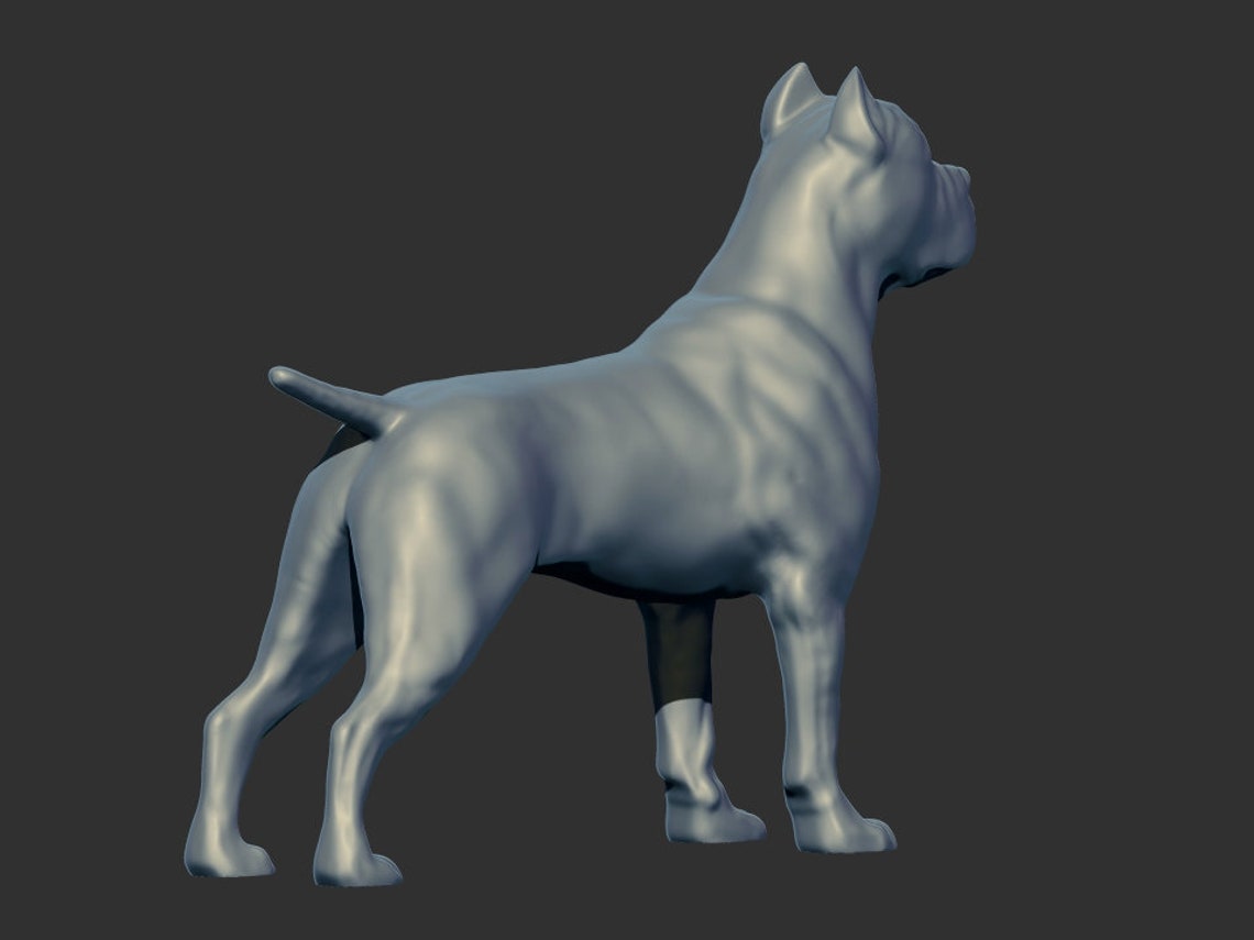 Cane Corso 3D Sculpture for 3D Printing .STL File - Etsy