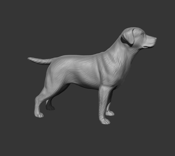 Labrador Retriever 3D Sculpture for 3D Printing .STL File - Etsy