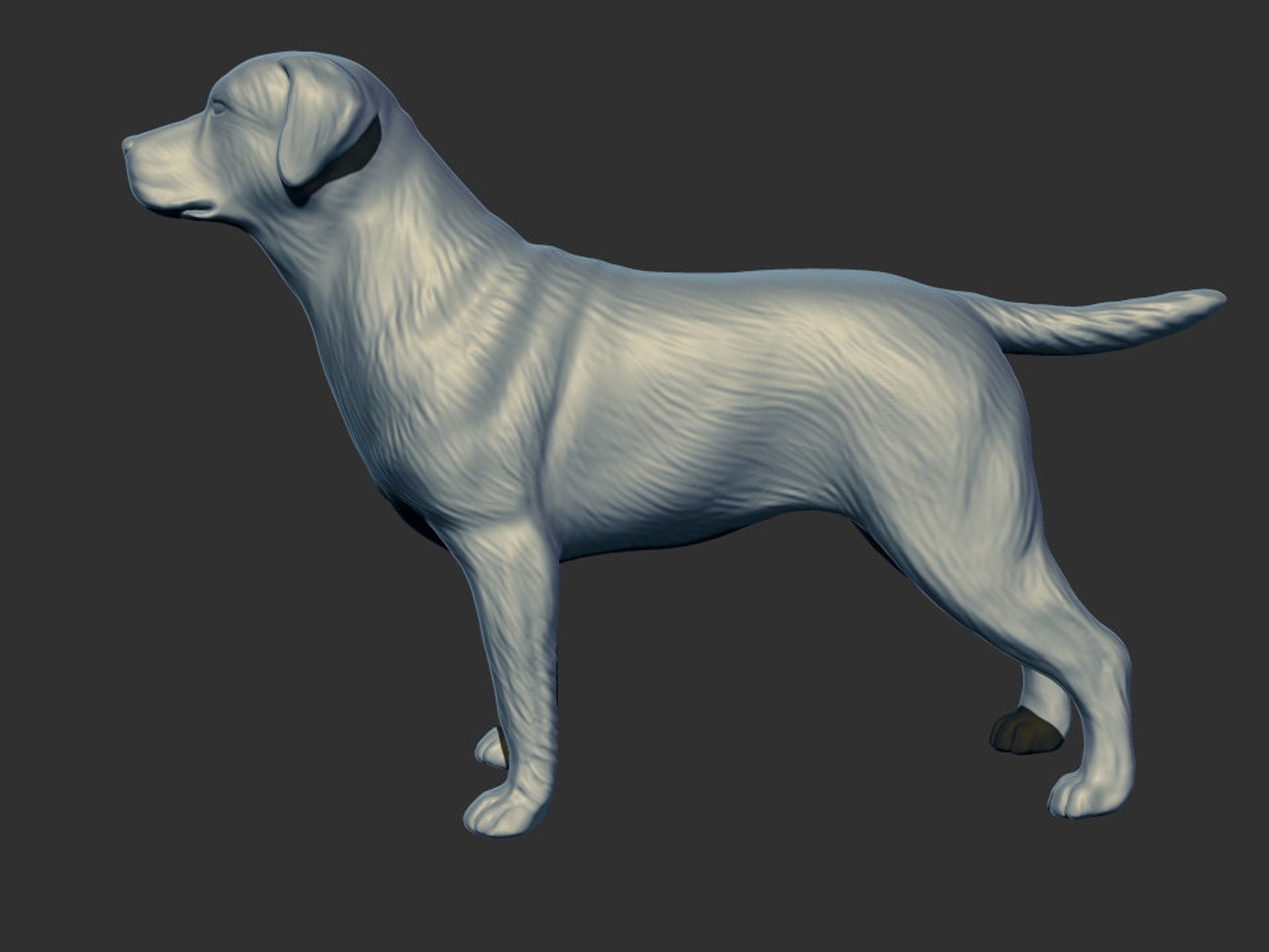 Labrador Retriever 3D Sculpture for 3D Printing .STL File - Etsy