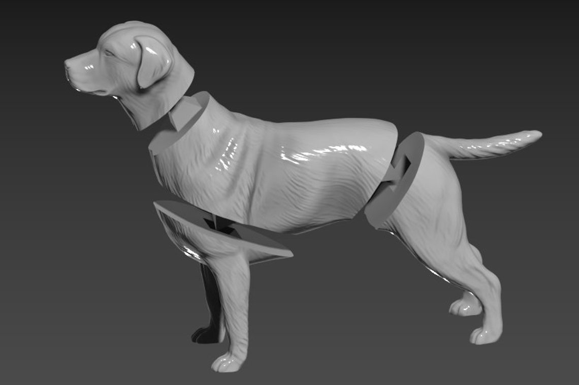 Labrador Retriever 3D Sculpture for 3D Printing .STL File - Etsy