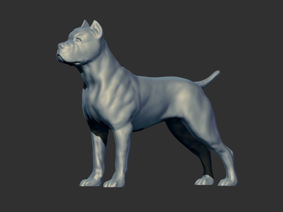 Cane Corso 3D Sculpture for 3D Printing .STL File - Etsy
