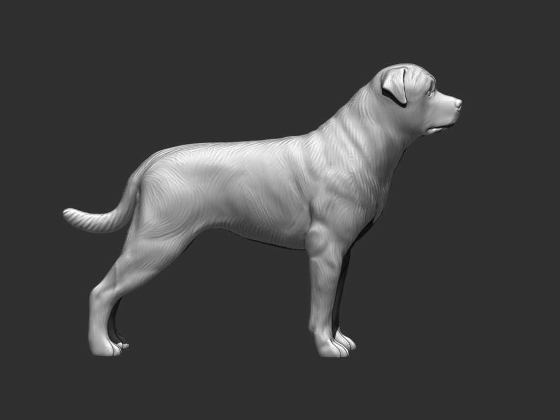 Rottweiler 3D Sculpture for 3D Printing .STL File - Etsy