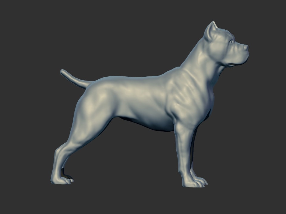 Cane Corso 3D Sculpture for 3D Printing .STL File - Etsy