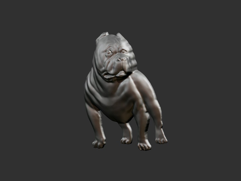 American Bully 3D Relief Sculpture 3D Model .STL - Etsy