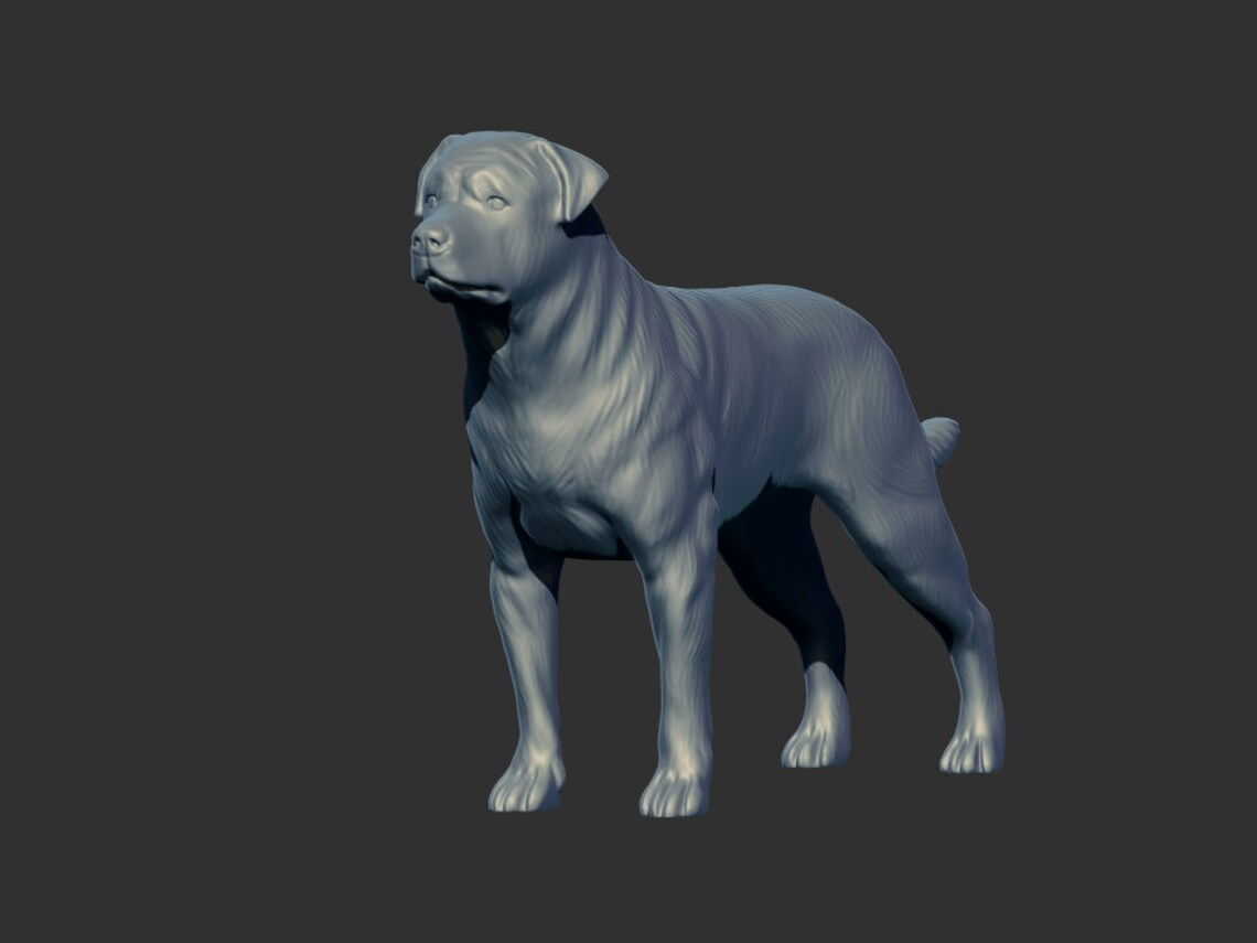 Rottweiler 3D Sculpture for 3D Printing .STL File - Etsy