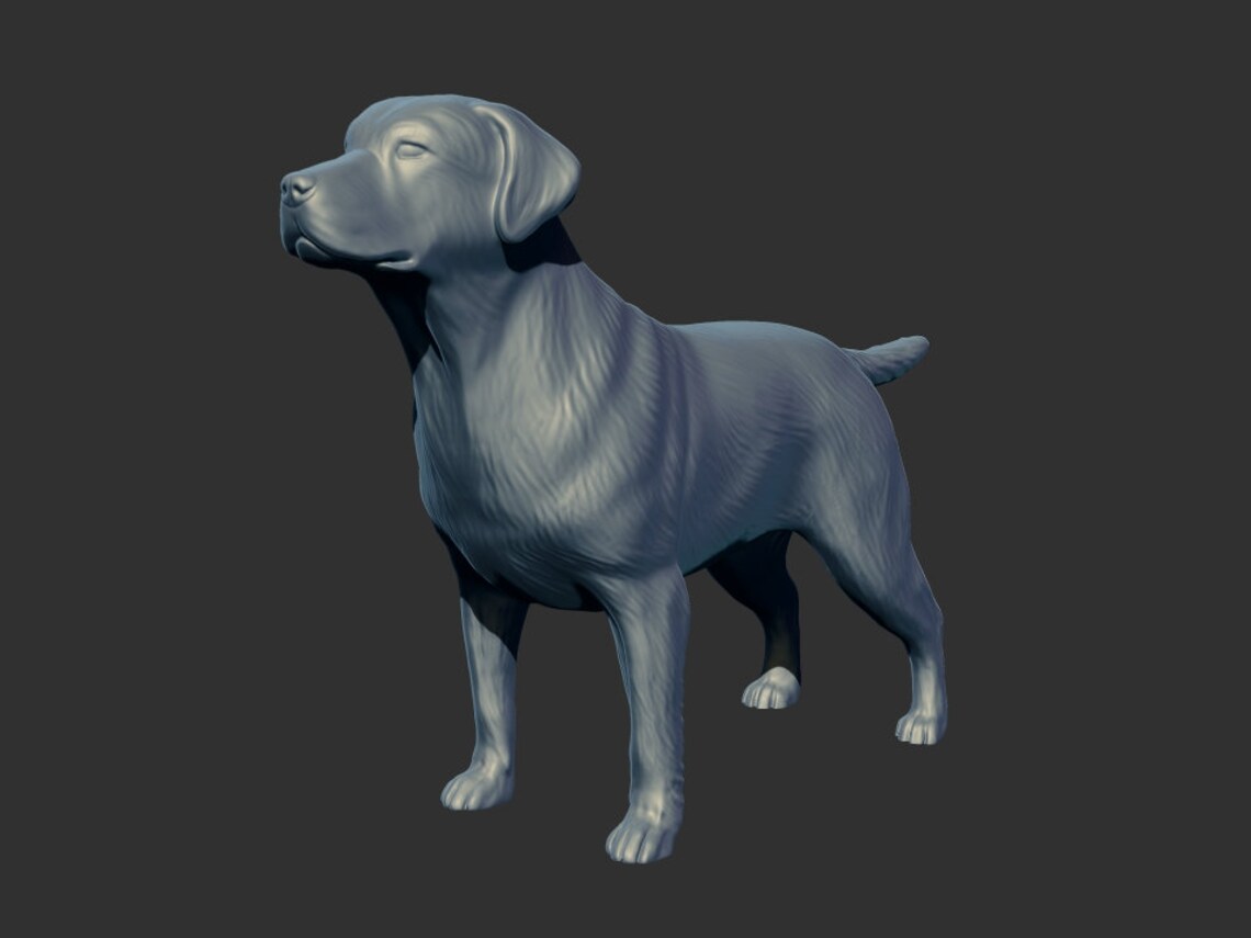 Labrador Retriever 3D Sculpture for 3D Printing .STL File - Etsy Australia
