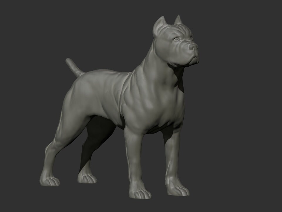 Cane Corso 3D Sculpture for 3D Printing .STL File - Etsy