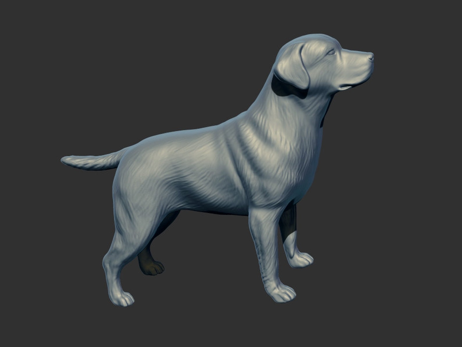 Labrador Retriever 3D Sculpture for 3D Printing .STL File - Etsy