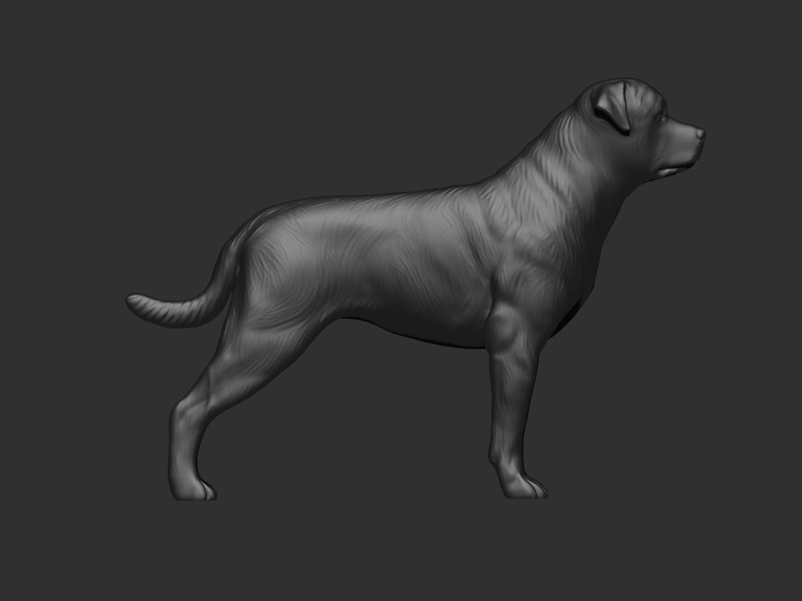 Rottweiler 3D Sculpture for 3D Printing .STL File - Etsy
