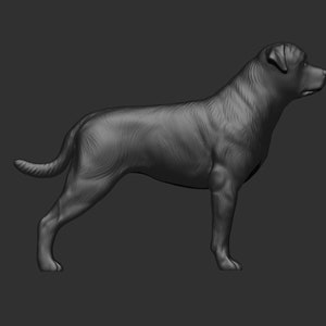 Rottweiler 3D Sculpture for 3D Printing .STL File - Etsy