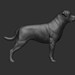 Rottweiler 3D Sculpture for 3D Printing .STL File - Etsy