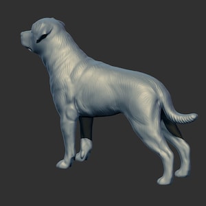 Rottweiler 3D Sculpture for 3D Printing .STL File - Etsy