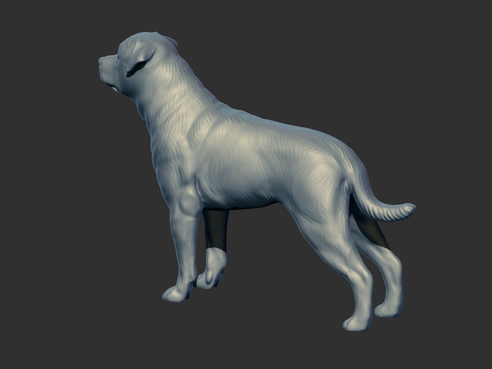 Rottweiler 3D Sculpture for 3D Printing .STL File - Etsy