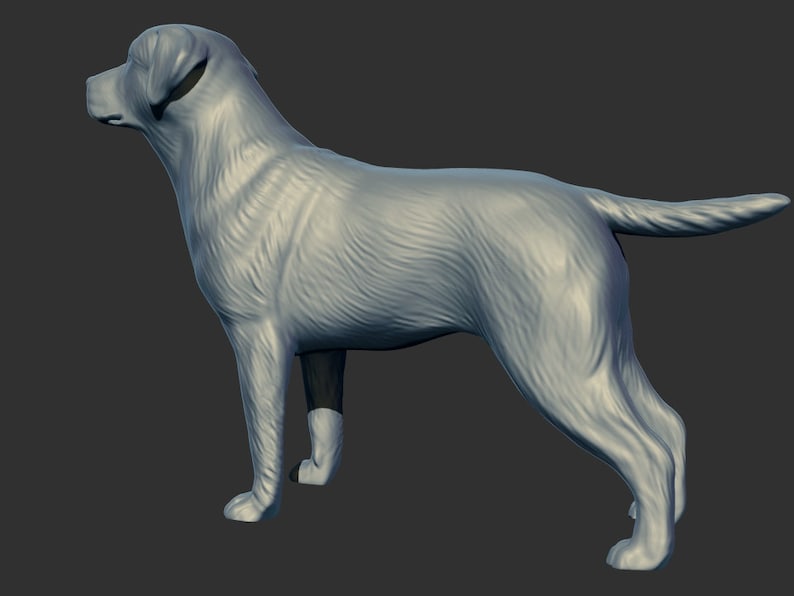 Labrador Retriever 3D Sculpture for 3D Printing .STL File - Etsy