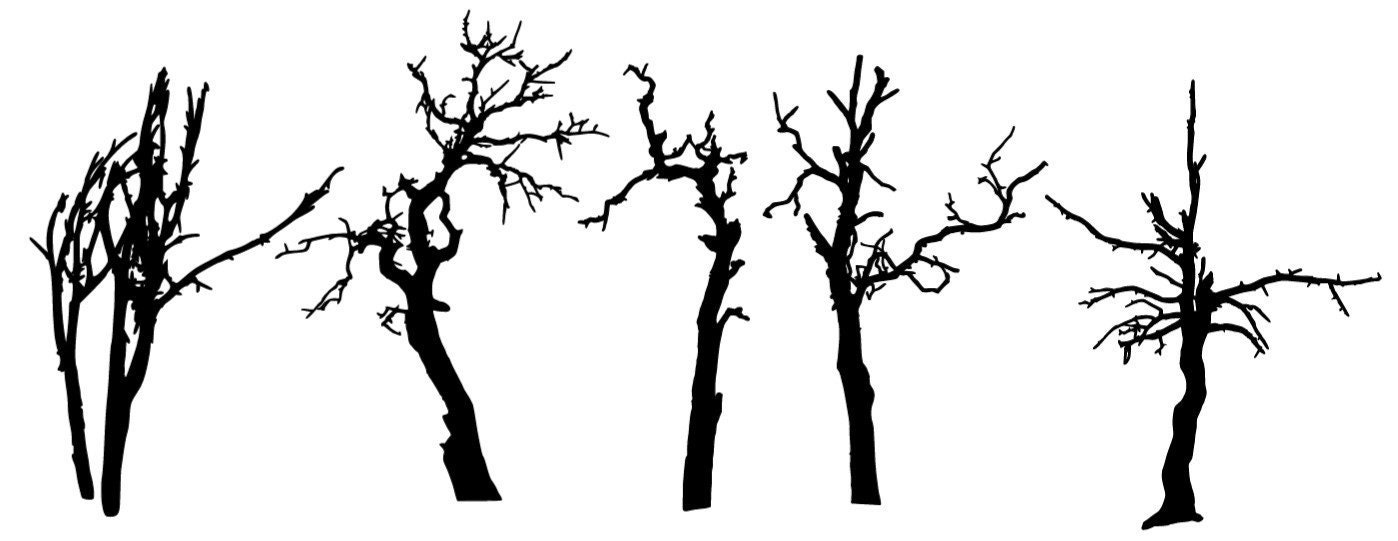 15 Spooky Tree's for Halloween SVG | Instant Download - Etsy