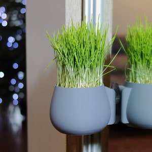 Cozy Window Suction Planter for Mirrors, Tiles - Cat Grass, Herbs ...