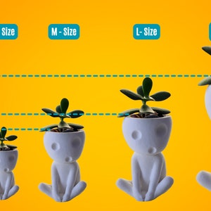 Tree Spirit Kodama Planter Bundle - Unique 3D Printed Succulent Pots ...