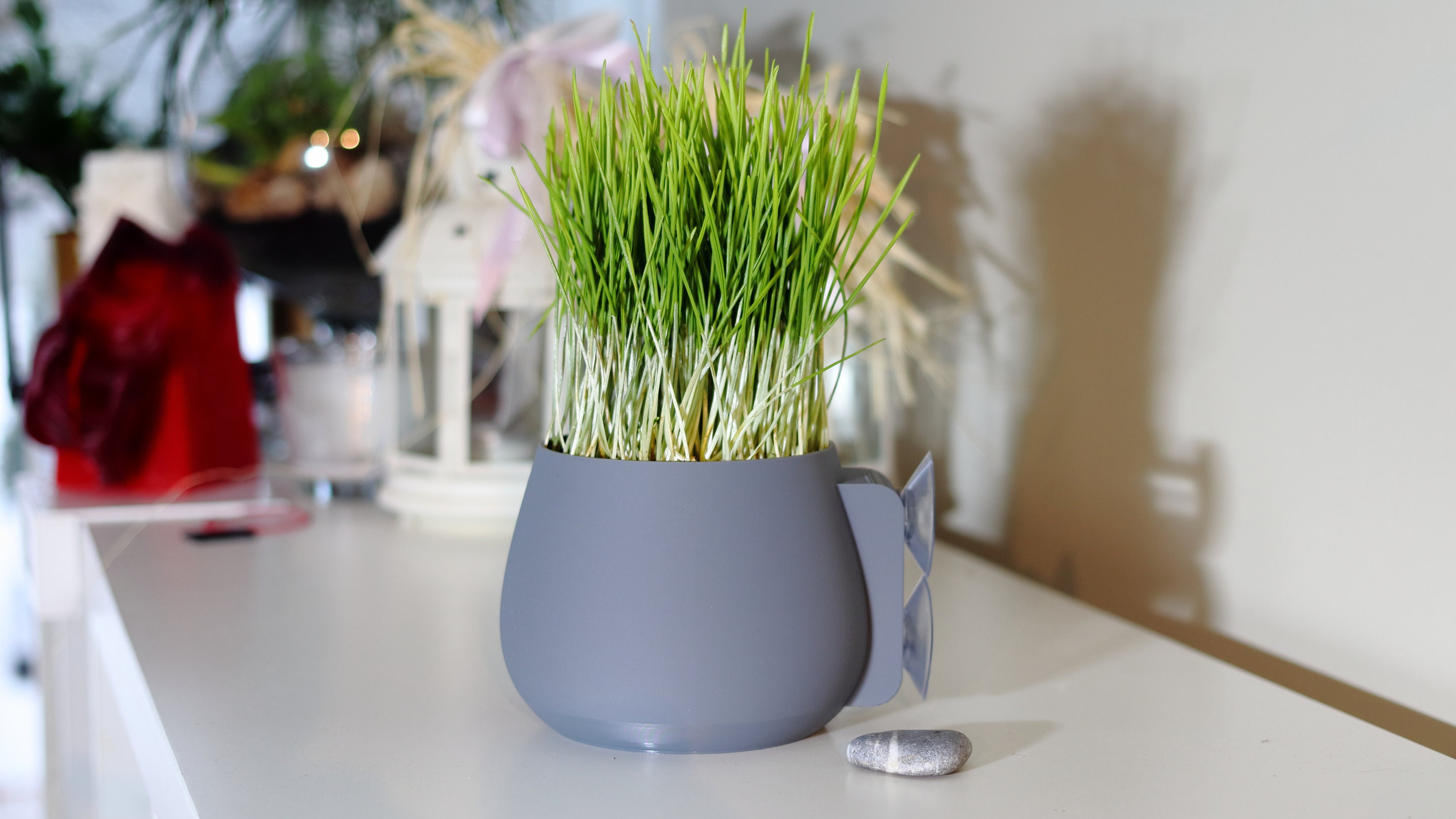 Cozy Window Suction Planter for Mirrors, Tiles Cat Grass, Herbs ...