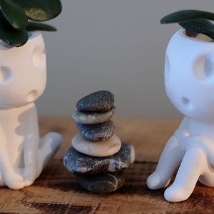 Tree Spirit Kodama Planter Bundle - Unique 3D Printed Succulent Pots ...