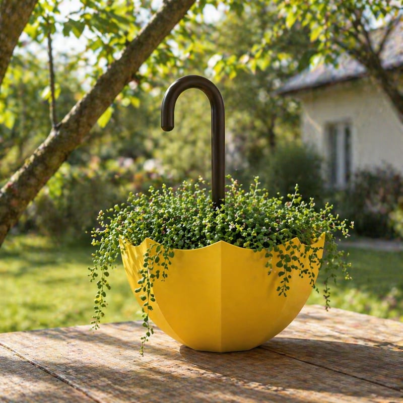 Ombrellone per piante - Etsy Italia