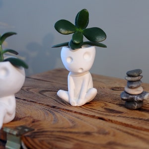 Tree Spirit Kodama Planter Bundle - Unique 3D Printed Succulent Pots ...