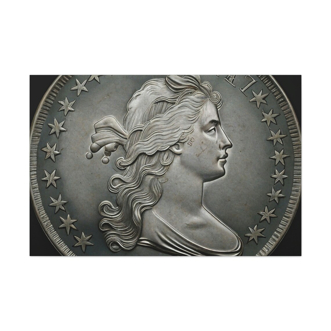 Stunning Flowing Hair Dollar Print Canvas Flowing Hair Dollar Coin ...