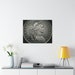 Stunning Flowing Hair Dollar Print Canvas Flowing Hair Dollar Coin ...