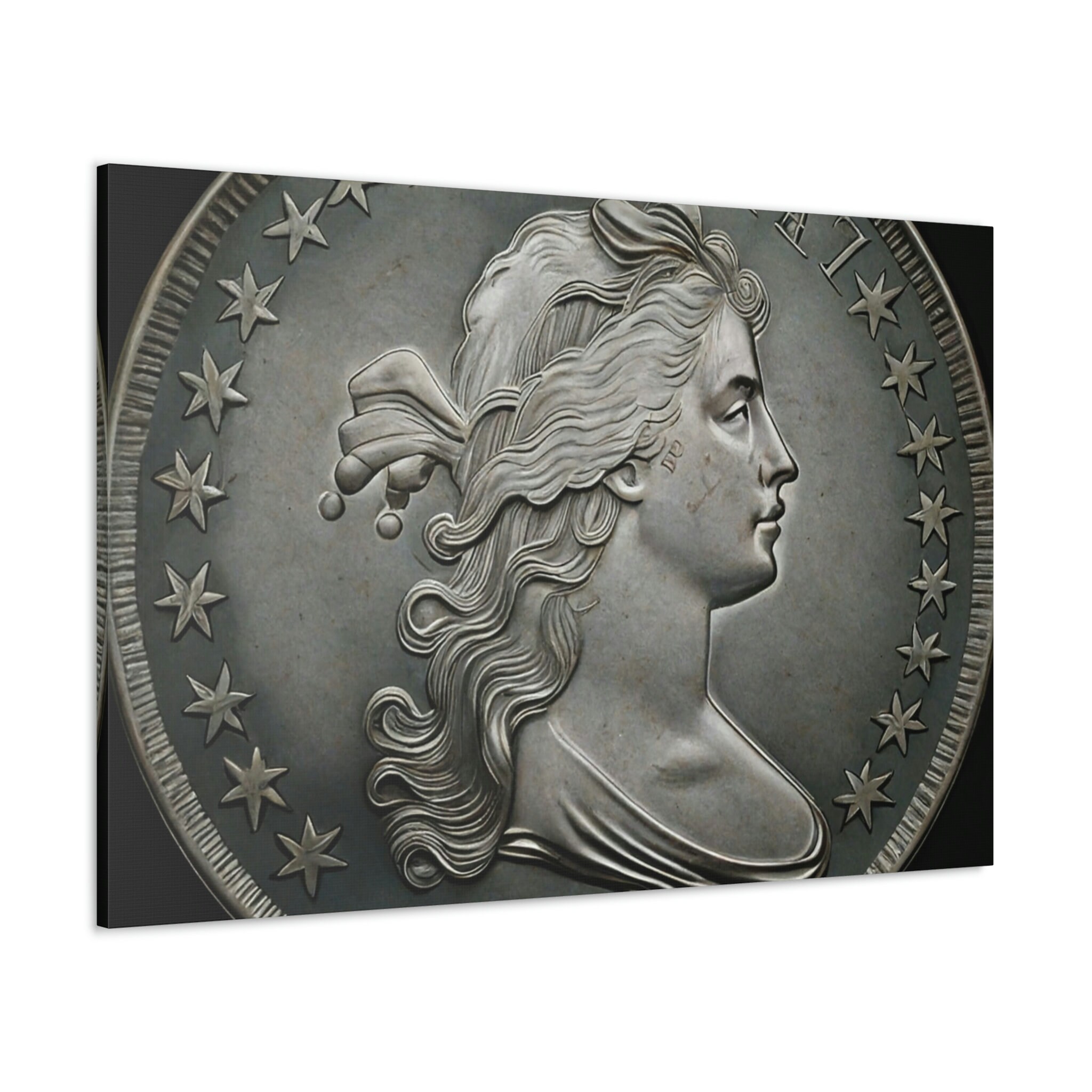Stunning Flowing Hair Dollar Print Canvas Flowing Hair Dollar Coin ...