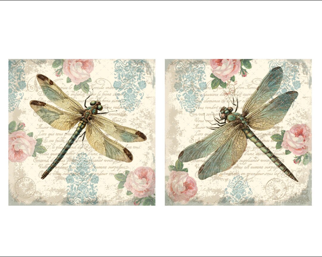 PHYSICAL ART PRINT 8X8 French Dragonfly Print Mockingbird - Etsy