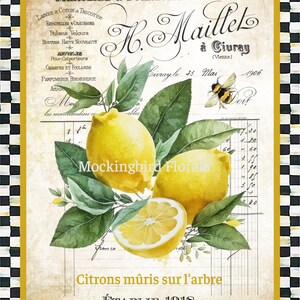DIGITAL PRINT, 2-8X10 Vintage French Prints, Lemon Prints, Mockingbird ...