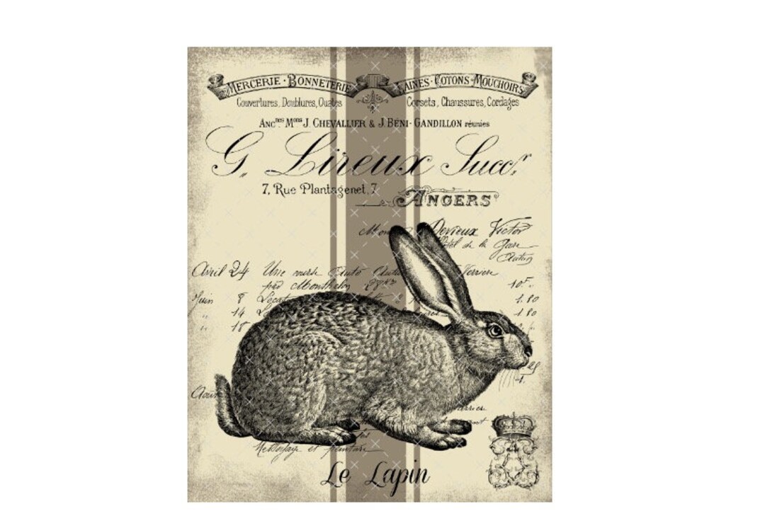 DIGITAL ART, French Country Rabbit, Printable, Bunny, Mockingbird ...