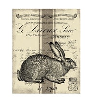 Rabbit Print - Etsy