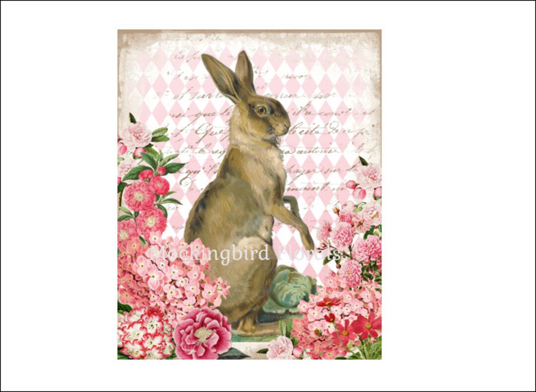 DIGITAL PRINT, 8X10 Art Print, French Rabbit Digital, Mockingbird ...
