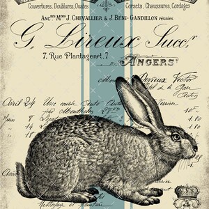 DIGITAL ART, 8x10 Downloadable French Country Rabbit Print, Printable ...