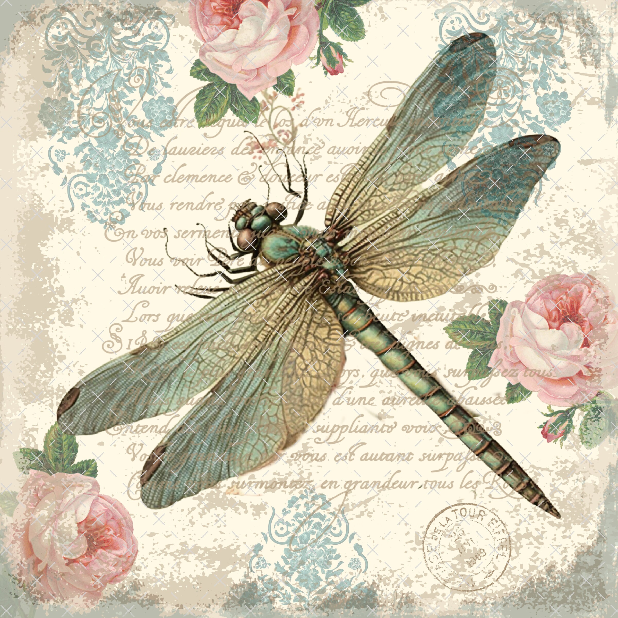 DIGITAL PRINT, 8X8 Dragonfly Art Print, French Dragonfly Digital ...
