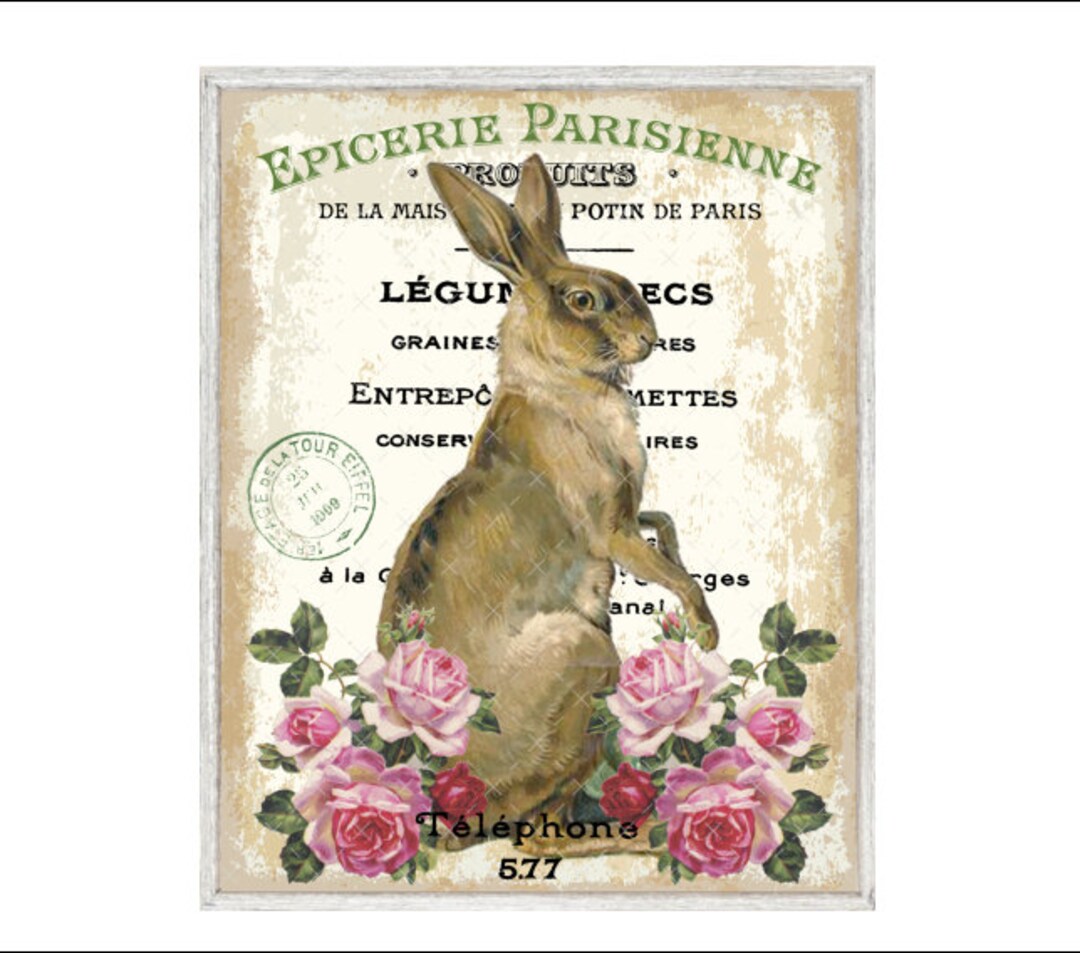 DIGITAL PRINT, Vintage Rabbit Digital, French Rabbit Download ...