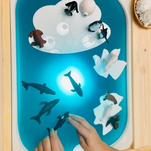 Flisat Arctic Board Insert, Flisat Insert Sorting, Trofast Insert, Sort ...