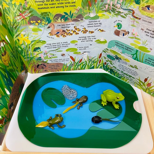 Flisat at the Pond Board Insert Flisat Insert Sorting - Etsy