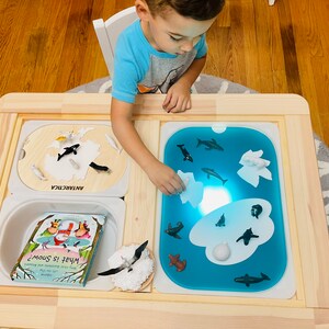 Flisat Arctic Board Insert, Flisat Insert Sorting, Trofast Insert, Sort ...