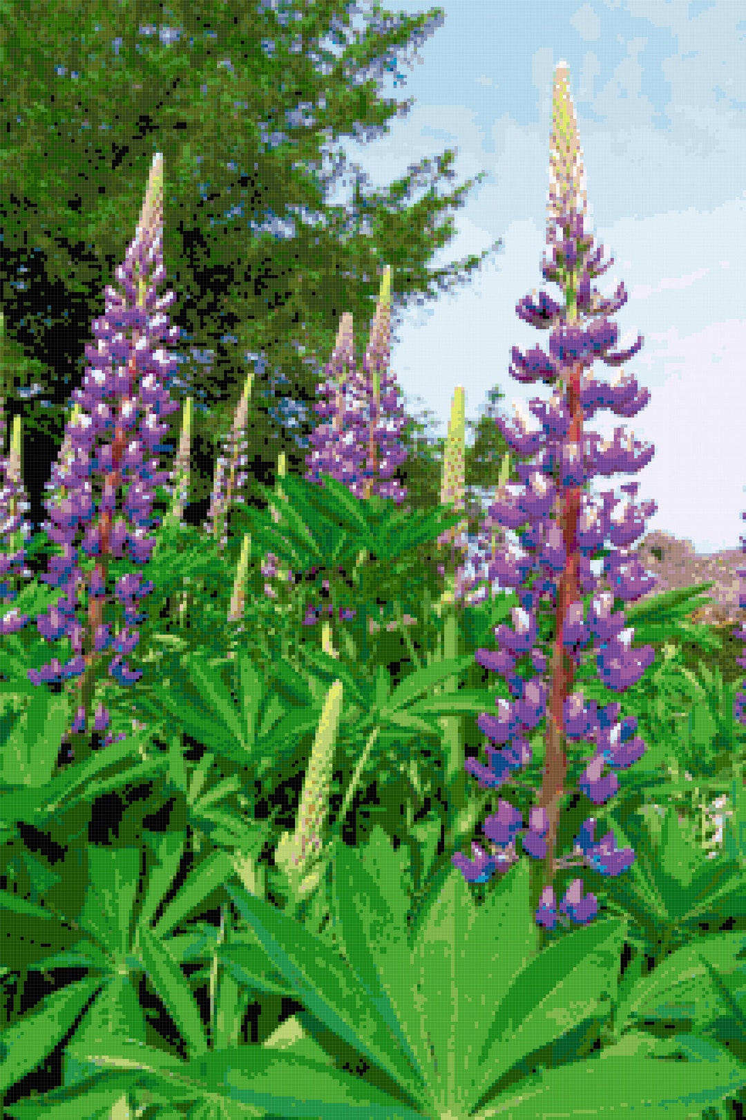 Cross Stitch Pattern Lupine - Etsy