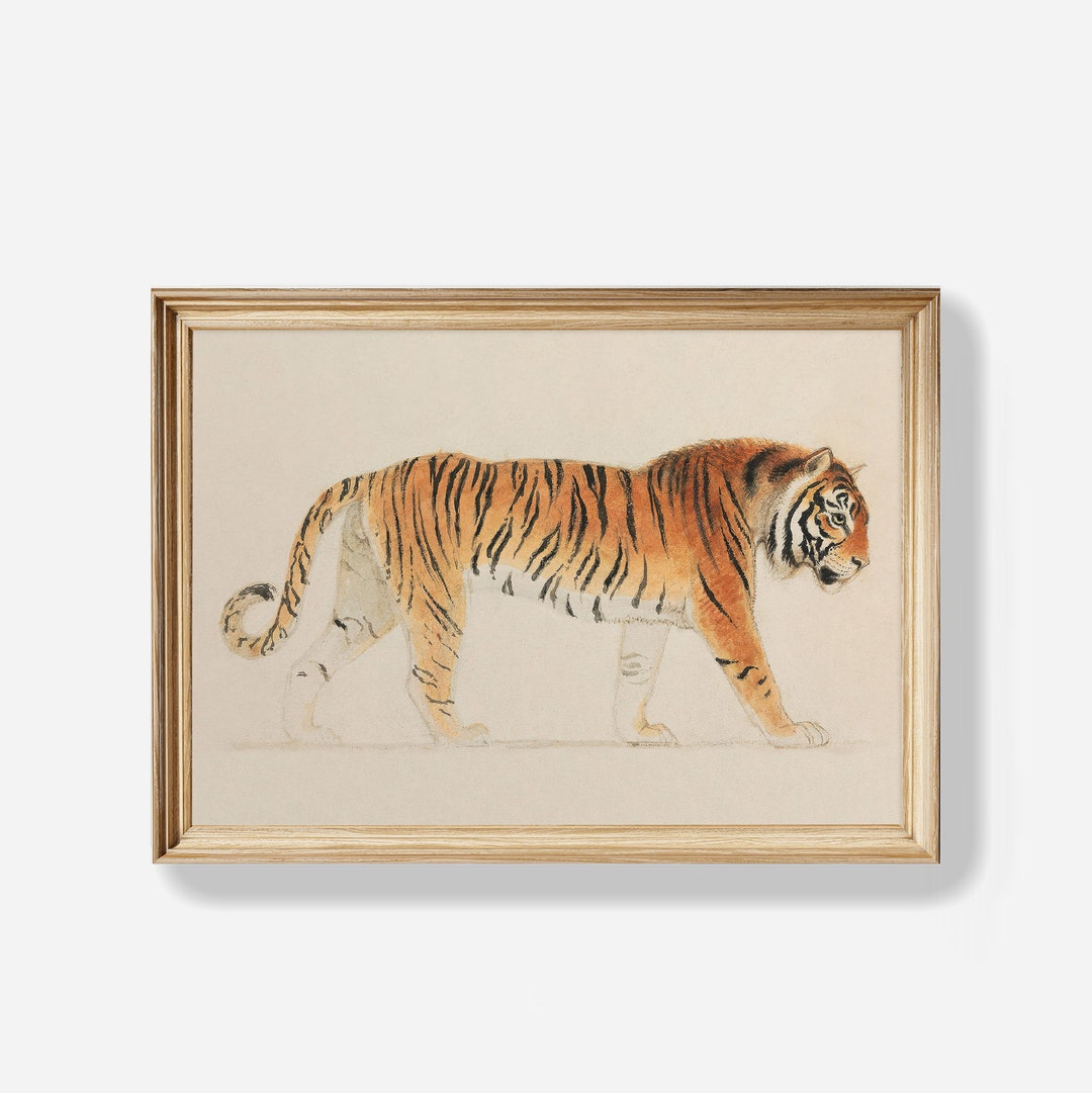 Vintage Tiger Art Print, Vintage Wall Art, Vintage Tiger Print, Muted ...