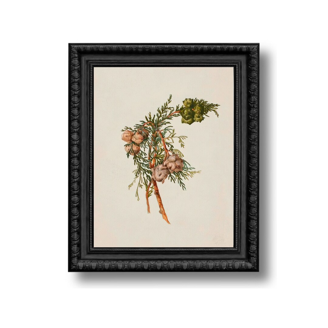 Winter Branch Art Print, Country Christmas Holiday Wall Art Printable ...