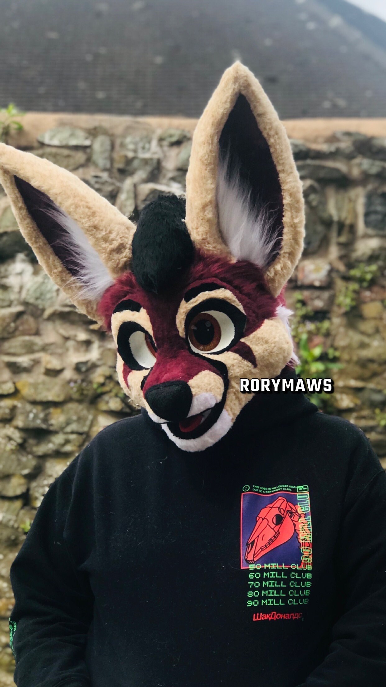 Fennec Fox Premade Fursuit Head - Etsy