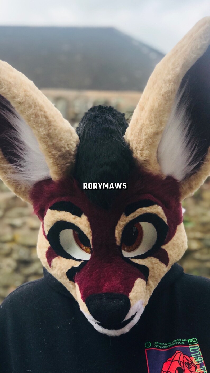 Fennec Fox Premade Fursuit Head - Etsy
